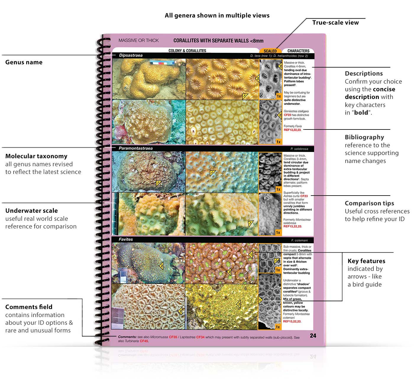 Coral Finder 2022 - BYOGUIDES