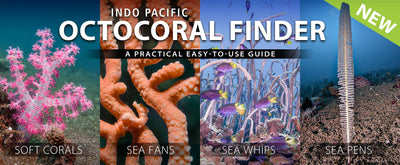 BYOGUIDES - Be Your Own Guide!