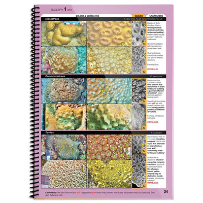 Coral Finder 2022 - BYOGUIDES