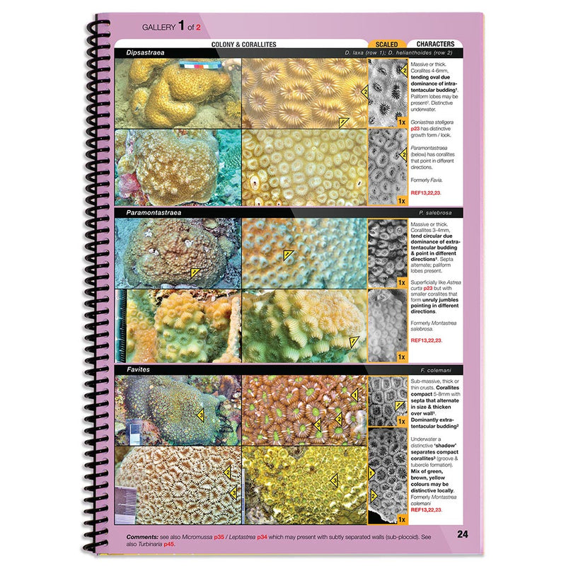 Coral Finder 2022 - BYOGUIDES